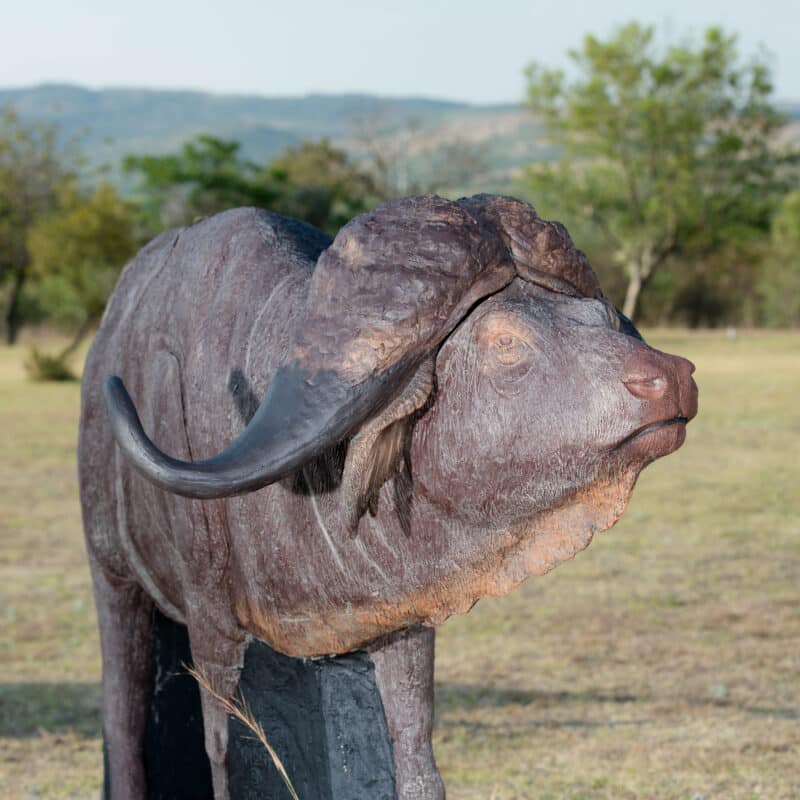Cape Buffalo Archery Target | Wildcrete 3D Targets