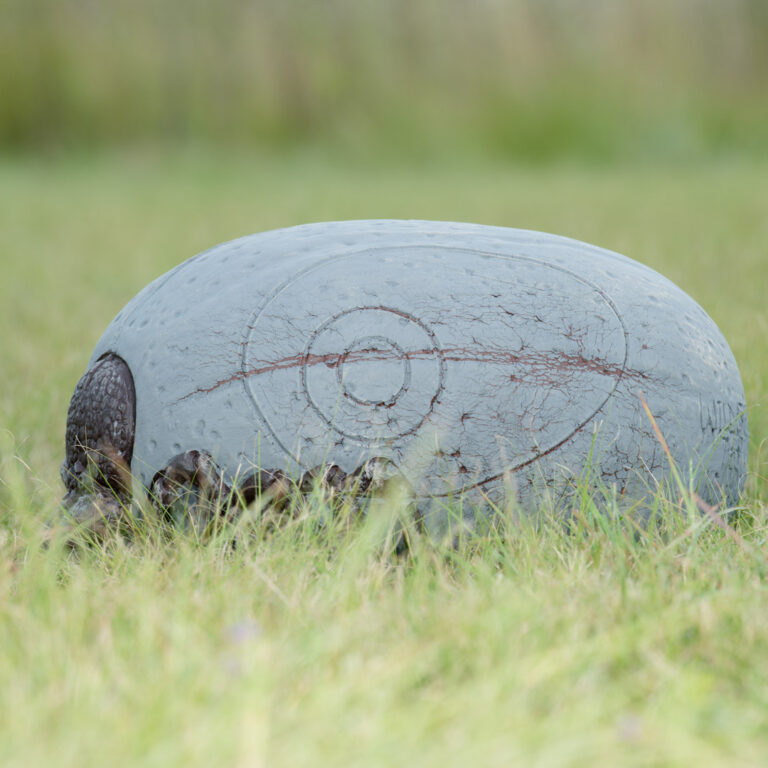 Giant Tick Archery Target | Wildcrete 3D Targets