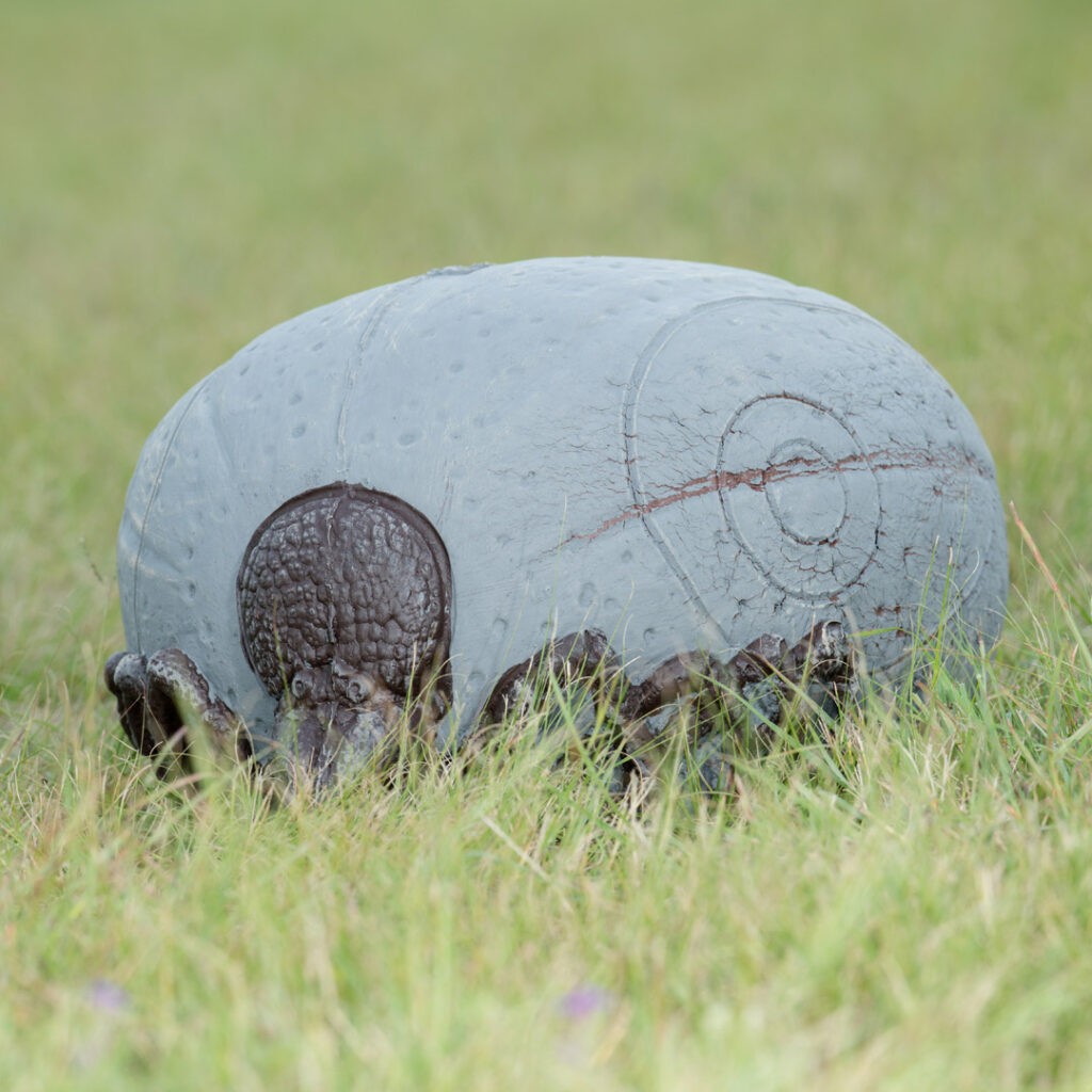 Giant Tick Archery Target | Wildcrete 3D Targets