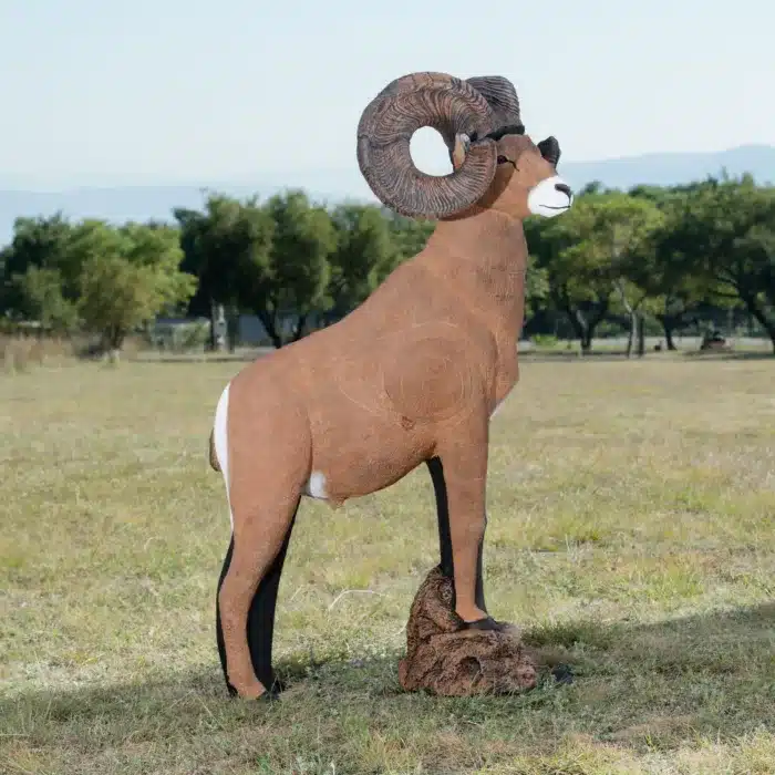 Big Horn Sheep (Replaceable Core) - Group 1 (26kg) - 3D archery target ...